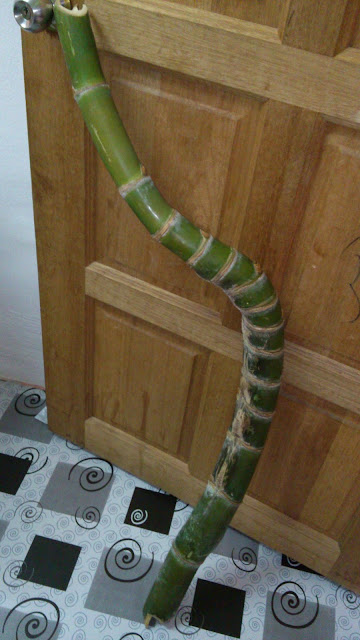 ZAMRUD TECHNOLOGY: Natural Unique & Rare (4) ~Pelbagai Kesenian Buluh ...