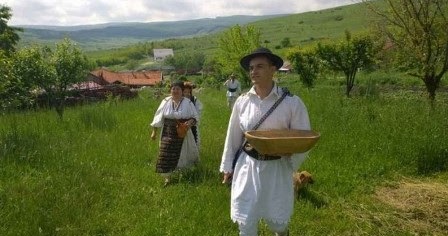 Cânepa românească - victima vânătorii de canabis + VIDEO (RO)