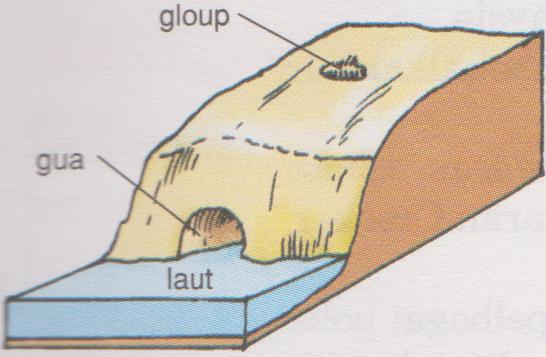 GEOGRAFI dan ANDA: 1.1.B Bentuk Muka Bumi Hakisan Ombak
