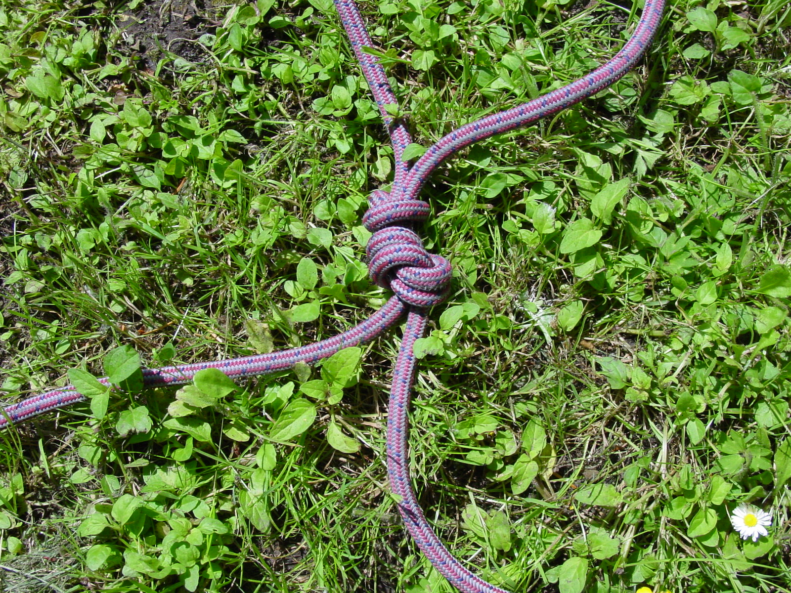 American Alpine Institute - Climbing Blog: Knots for Rappelling