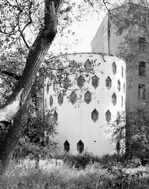 Let's keep it wild.: Honeycomb