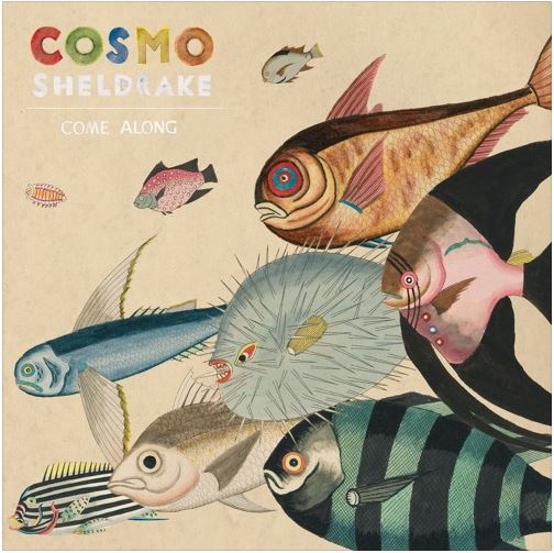 COSMO SHELDRAKE – SINGLE REVIEW