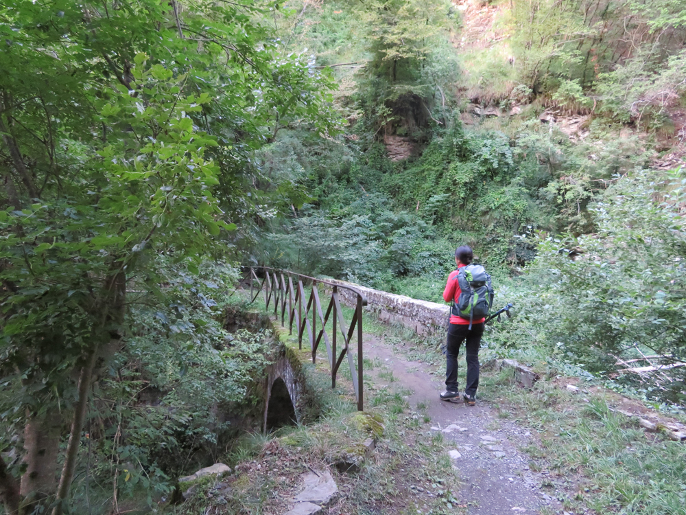 Escursionismo a 360°: Monte Cimone (da Canevare)