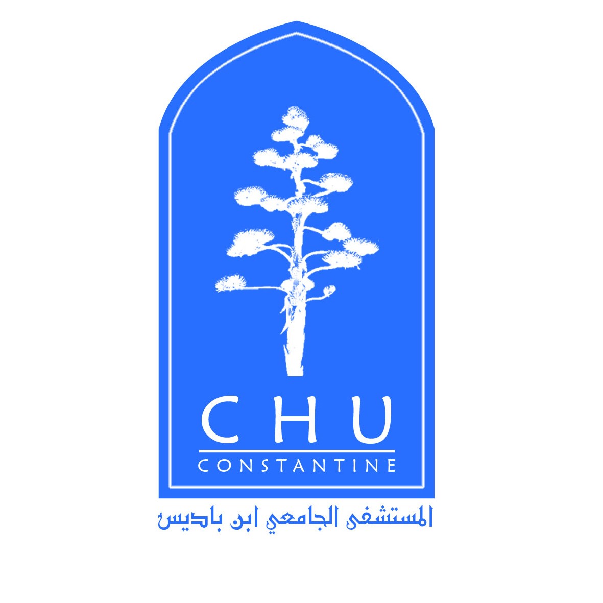 Chus Logo