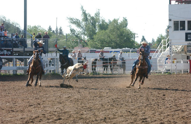 The Roping Blog: Jake Barnes & Walt Woodard, Cheyenne 2011