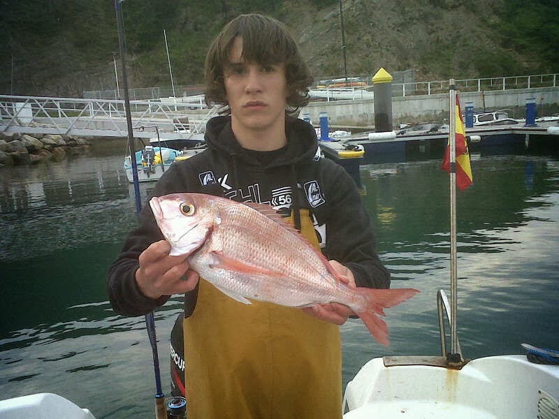 FISHING NORTH PEÑAS: Aligote-Pica-Besugo
