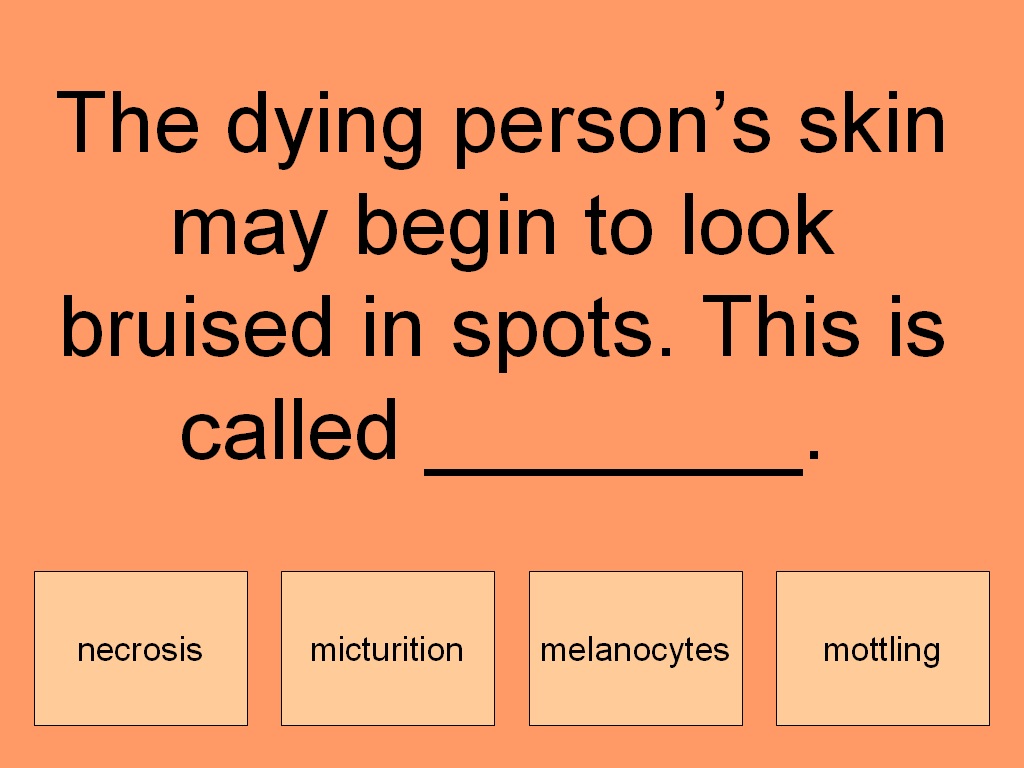 Student Survive 2 Thrive: Free Practice Test: Death and Dying
