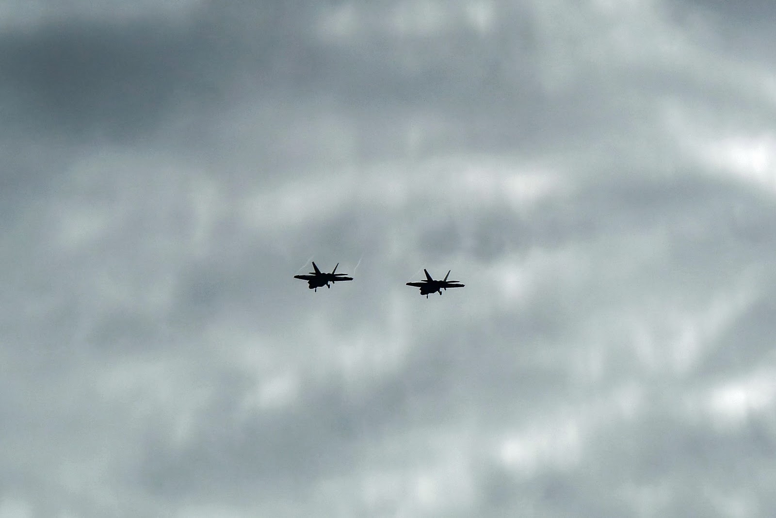 Last Dance: Florida Panhandle - Shell Island