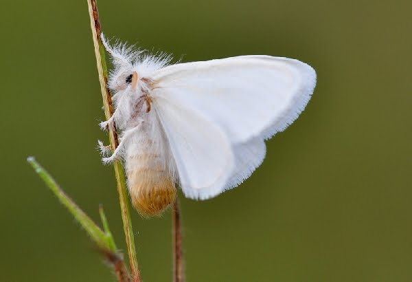 Back of Beyond The NT: March Madness III