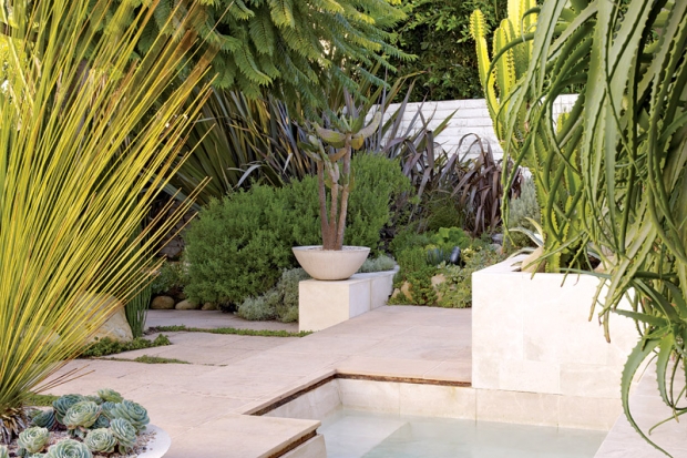 paradis express: James Lord, Surface Design