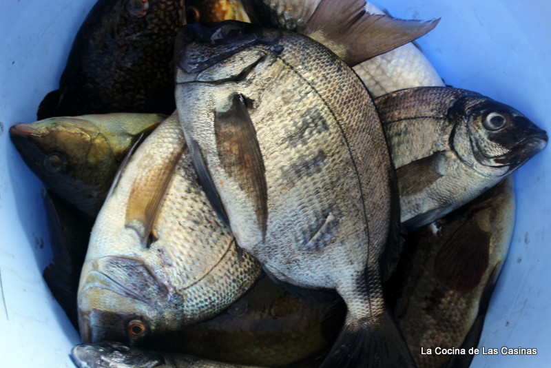 La Cocina de las Casinas: Xargo a la Plancha