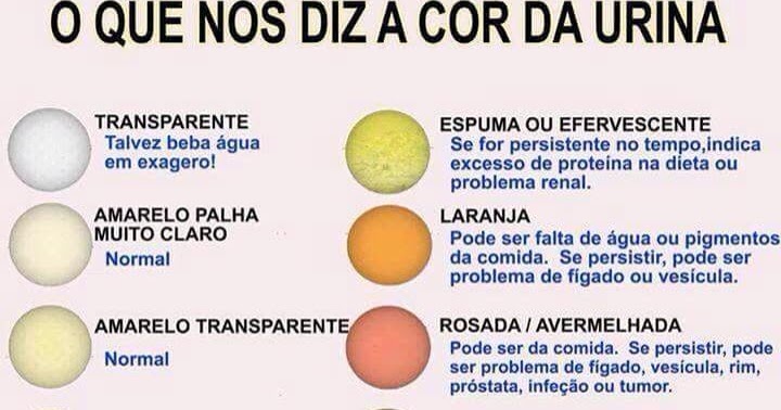 Prof. Ednei Torresini - Gaúcho em alto mar!!!!: A cor da sua urina