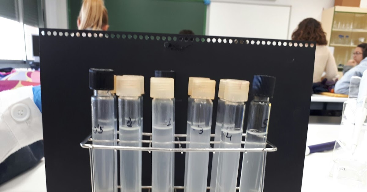 Práctica 12. Escala de Mcfarland