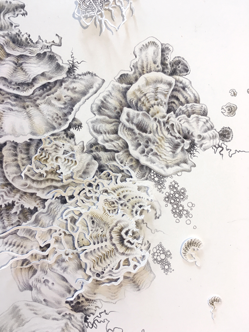 caroline picard illustratrice artwork: 2017