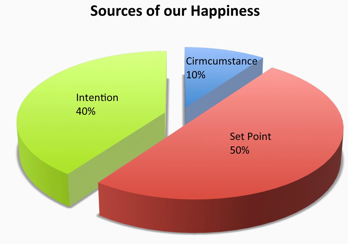 The Sky of Gene: 幸福快樂的科學－－《這一生的幸福計劃》（The How of Happiness）推薦序