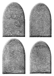 DACTILOSCOPIA: LA DACTILOSCOPIA. MODULO 1.