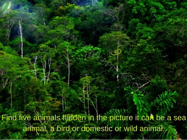 Find the Hidden Objects Picture Puzzles: Animals and Words