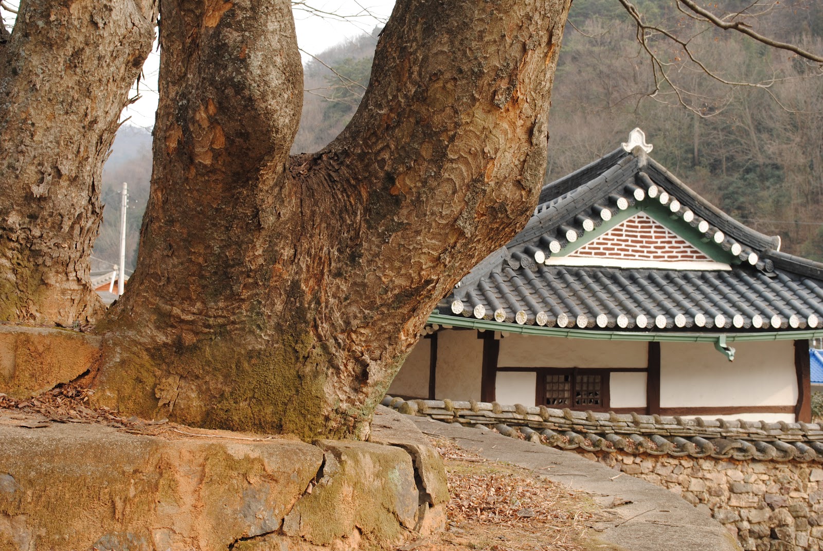 life abroad.: Seryang-je