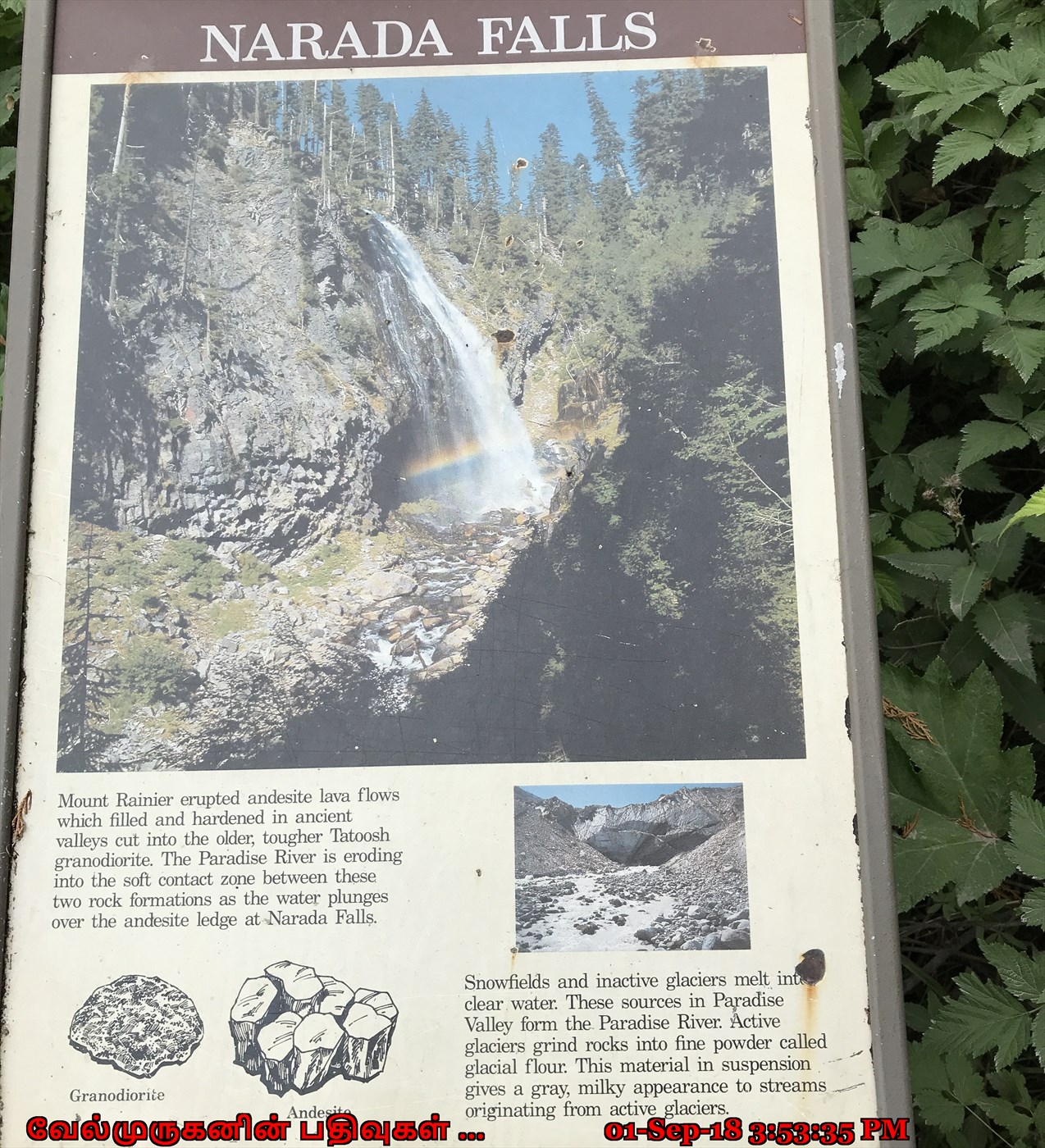 Narada Falls Mt Rainer - Exploring My Life