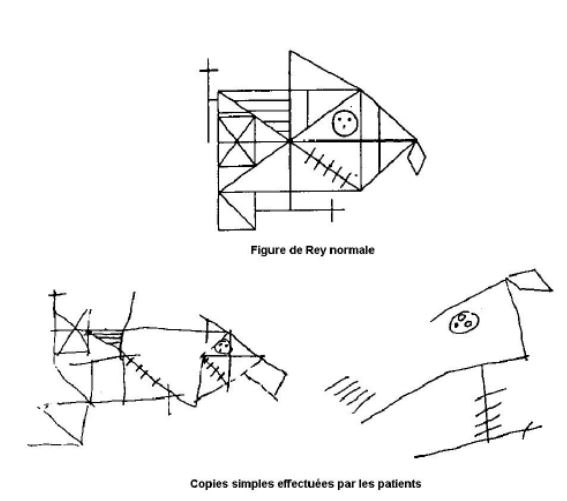 Un médecin du sport vous informe