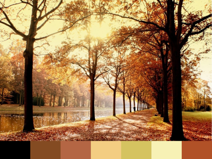 Colour Collaborative: November