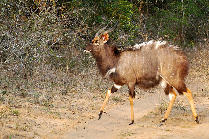 Natureza, Perfeição sem tamanho...