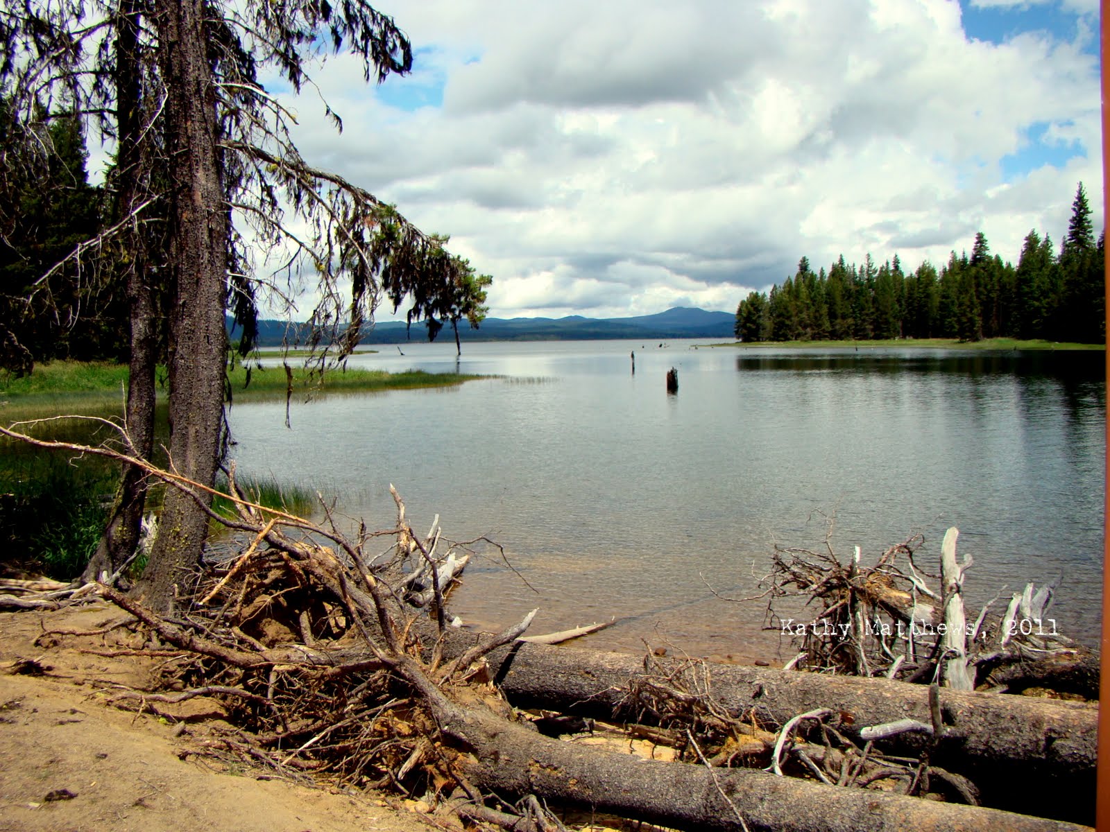 Central Oregon: Crane Prairie Reservoir: Browns Mountain Boat Landing