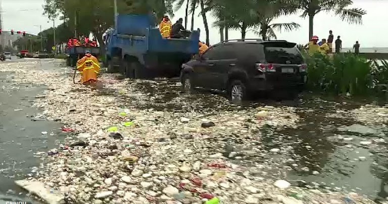 Throwing Trash Anywhere