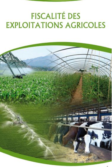 Espace-entreprises: Des Guides fiscaux