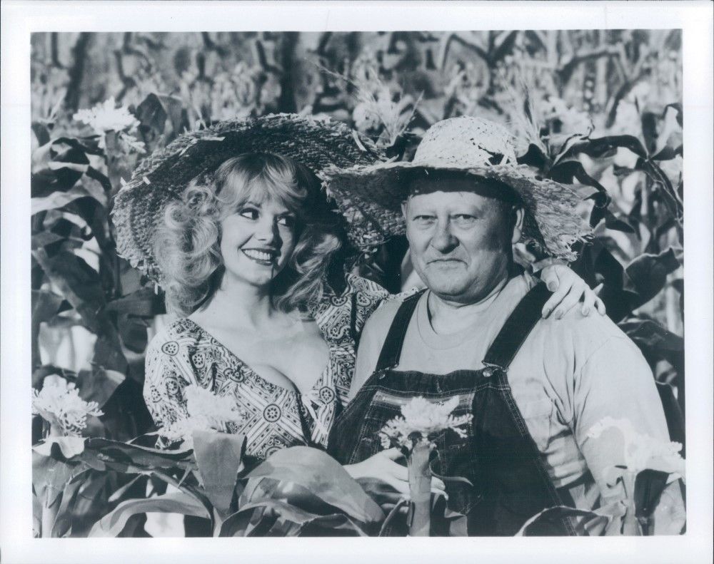 Slice of Cheesecake: Misty Rowe, pictorial