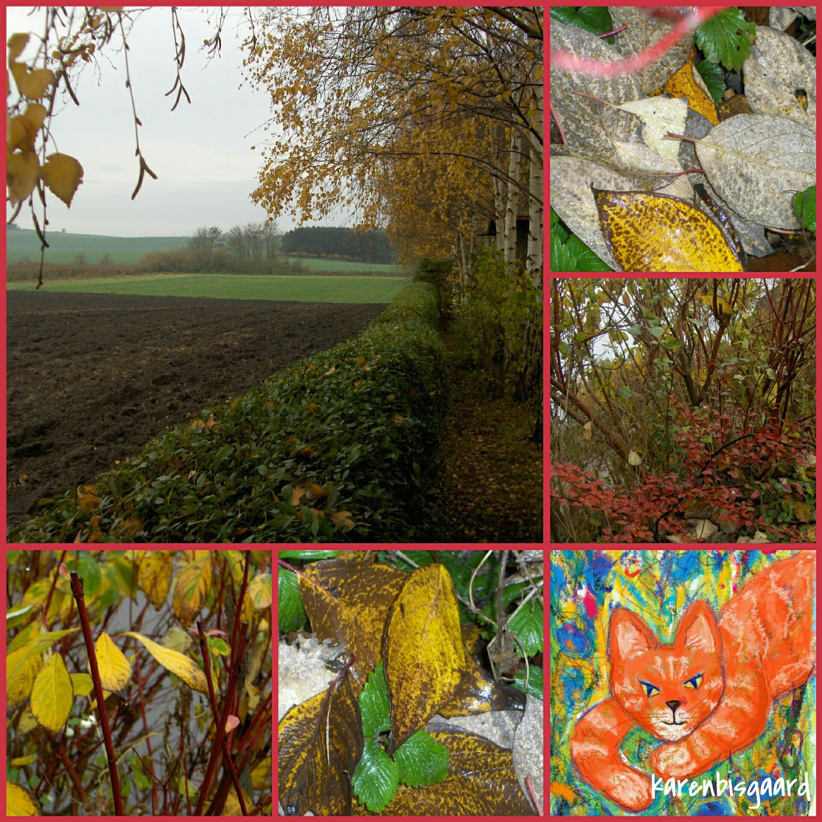 Karen`s Nature Photography: Autumn Photo Collage.
