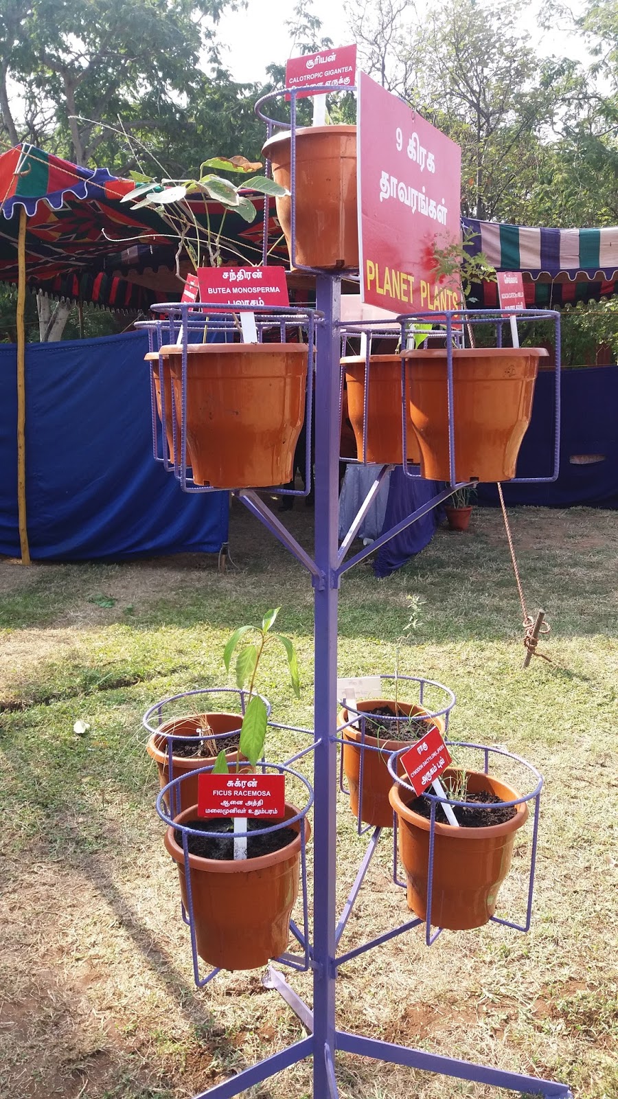 Eco Green Unit: MEDICINAL PLANTS PROJECT