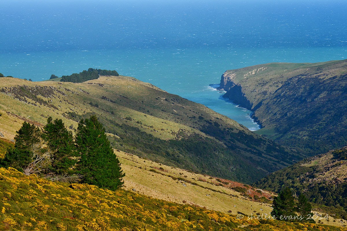 Two Go Tiki Touring: Lands End, Banks Peninsula