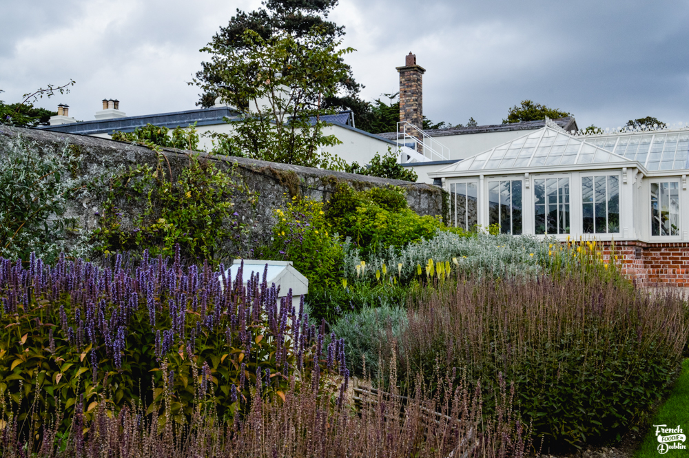 Things to do in Dublin: Airfield Estate | French Foodie in Dublin ...
