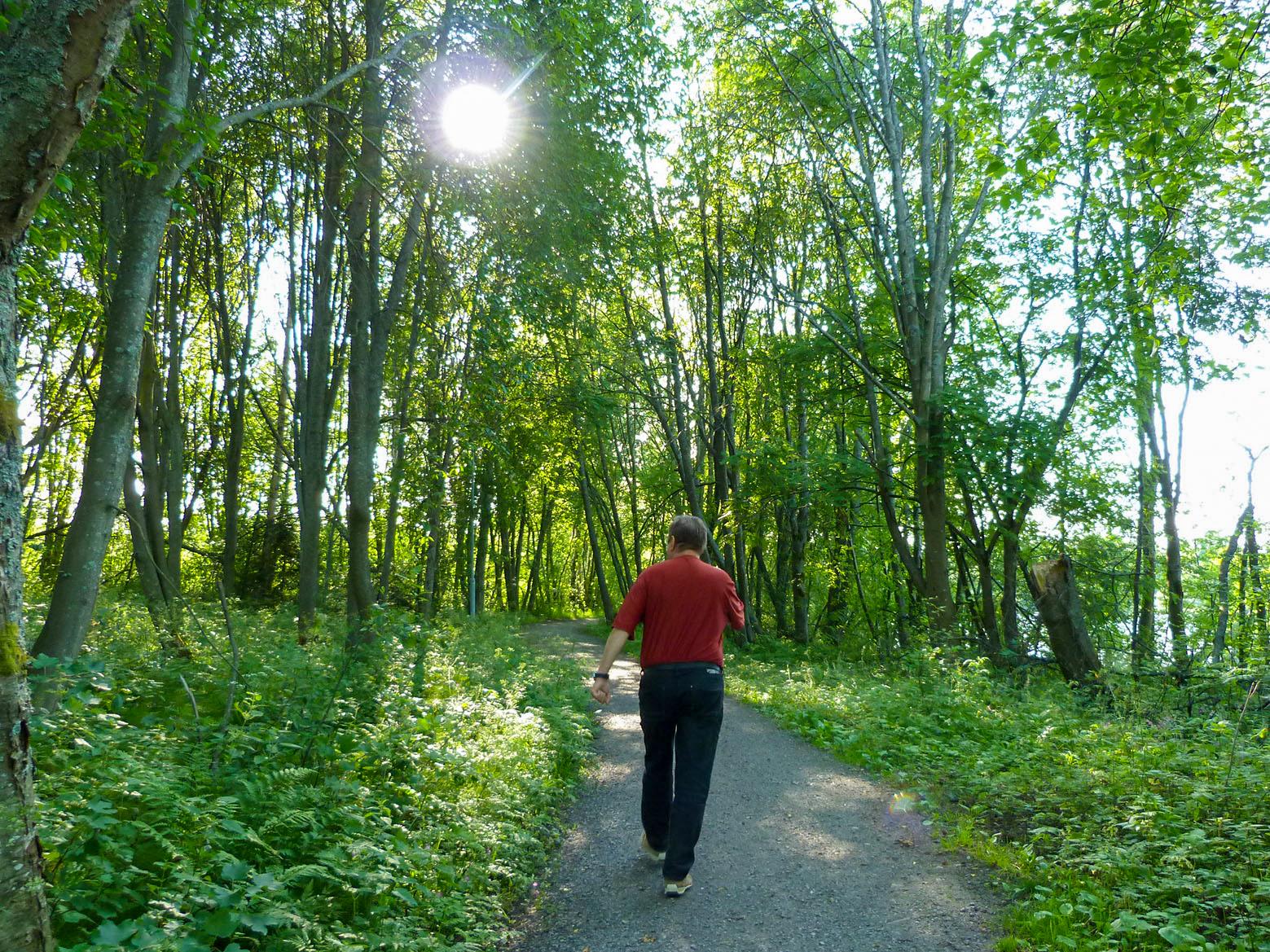 The Art Of Healthful Walking |Blissful Solitary Wanderings