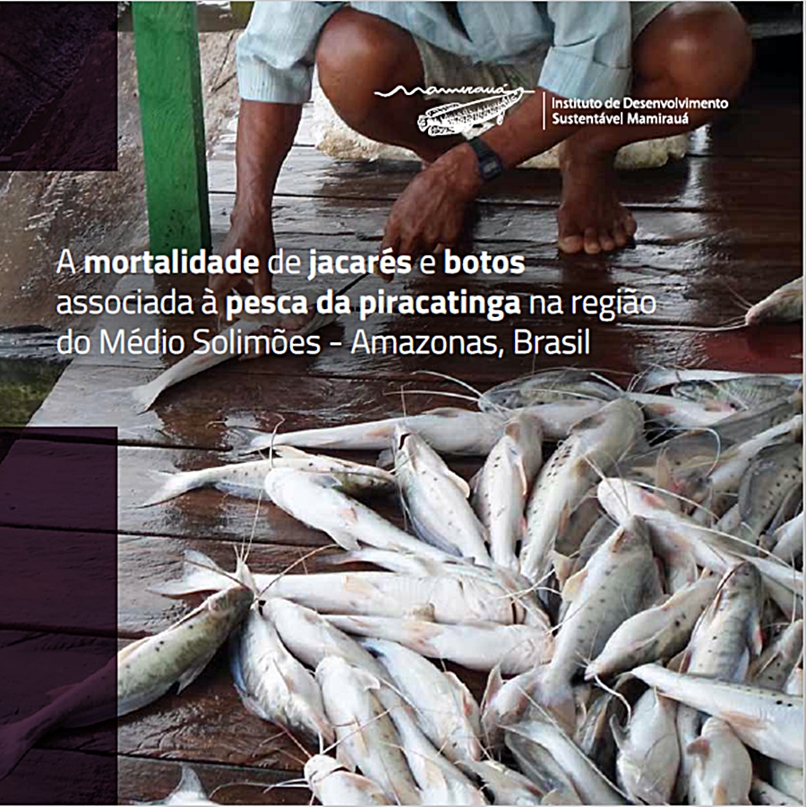 ㅤㅤㅤㅤㅤㅤㅤ: A mortalidade de jacarés e botos associada à pesca da ...