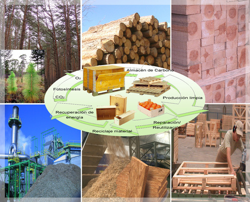 Maderas y Muebles LABRANZA