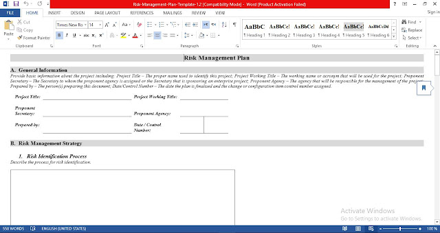 Risk Management Plan Template Document