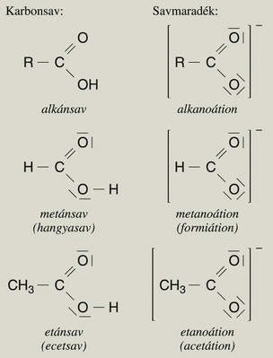 Pusztai Réka IKT Blogja