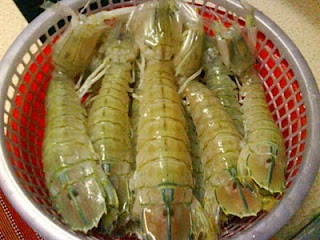 WARTA PANCING: Udang Ronggeng