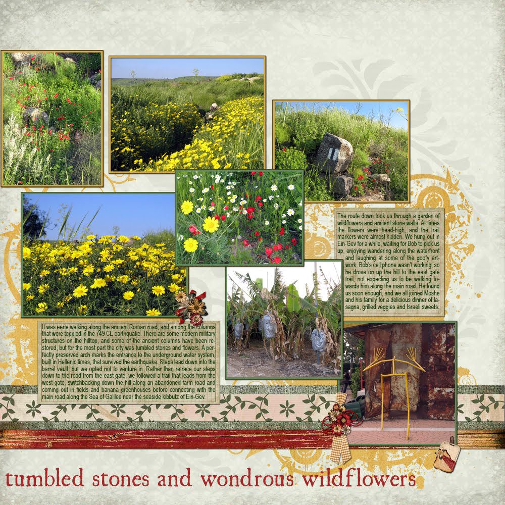 C.J.'s Scrapbook: Israel!