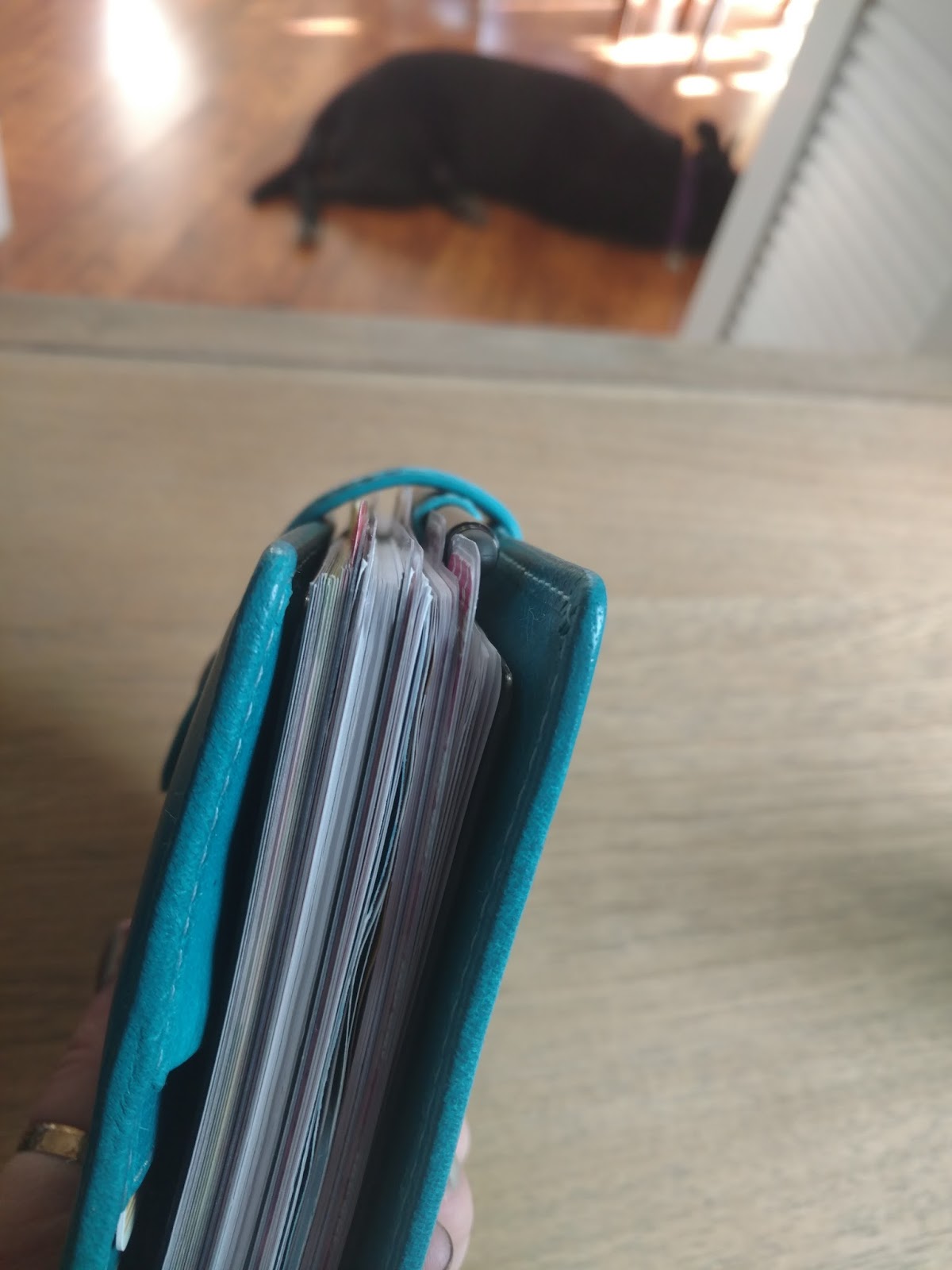 Sharondippity Franklin Covey Compact Size Inserts In Filofax Personal sharondippity-franklin-covey-compact-size-inserts-in-filofax-personal