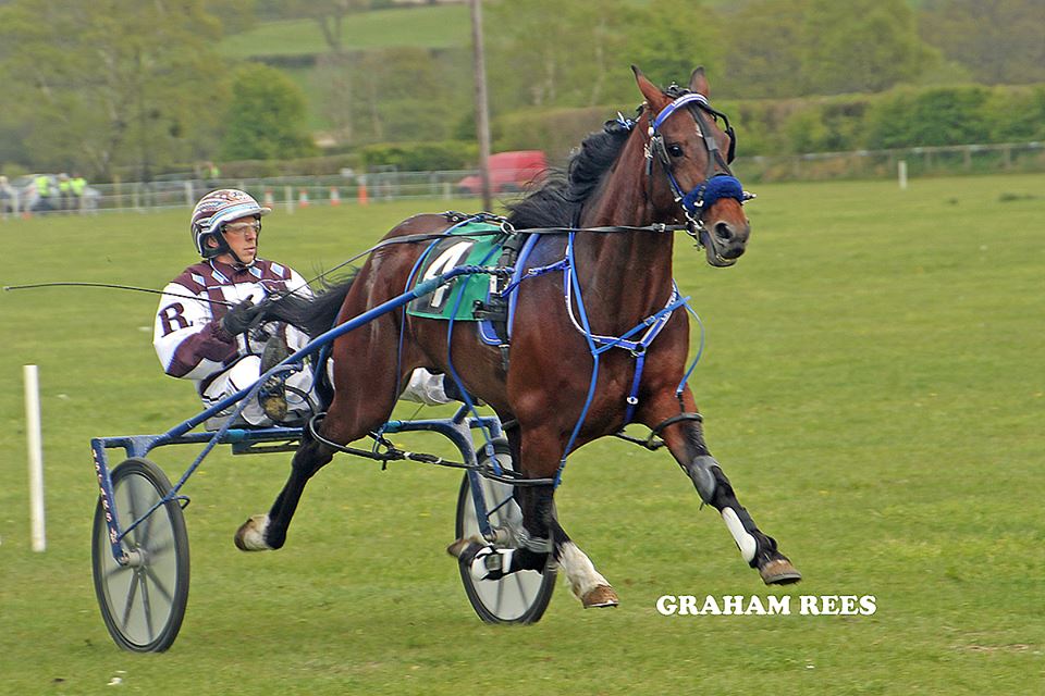 Harness Racing in the UK: 2018 Season: Week 2 - A solid 6 for Team Laidler