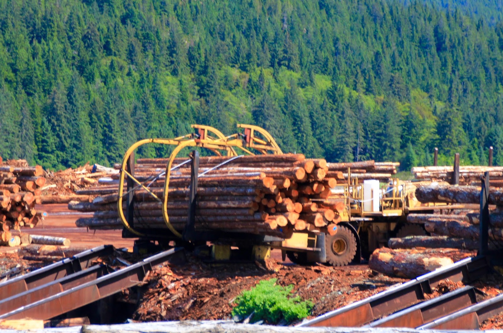 Wandering w/ Serenity: Mechanized Log Handling