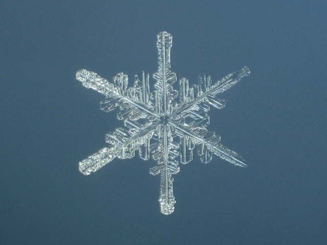 Snow Studio II: ******************** Introducing Snow Studio IV