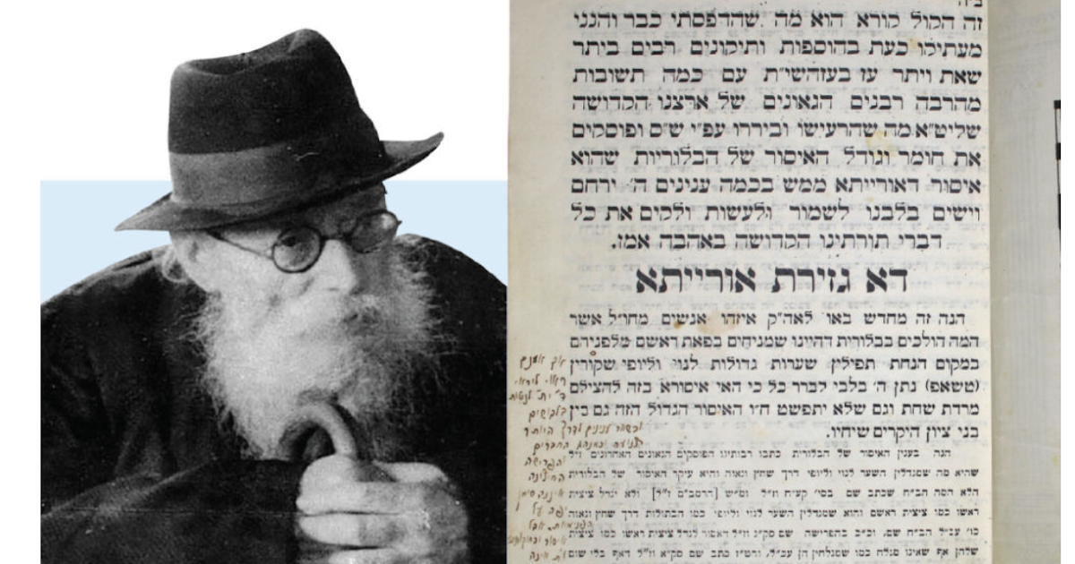 DUS IZ NIES !! Rare View...: Yes .. You can grow a "Tchup" ... Chazon Ish!