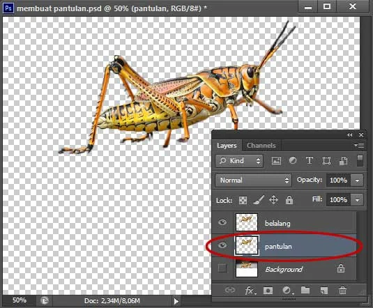 PhotoEffect: How to Create a Grasshopper Reflection in Photoshop