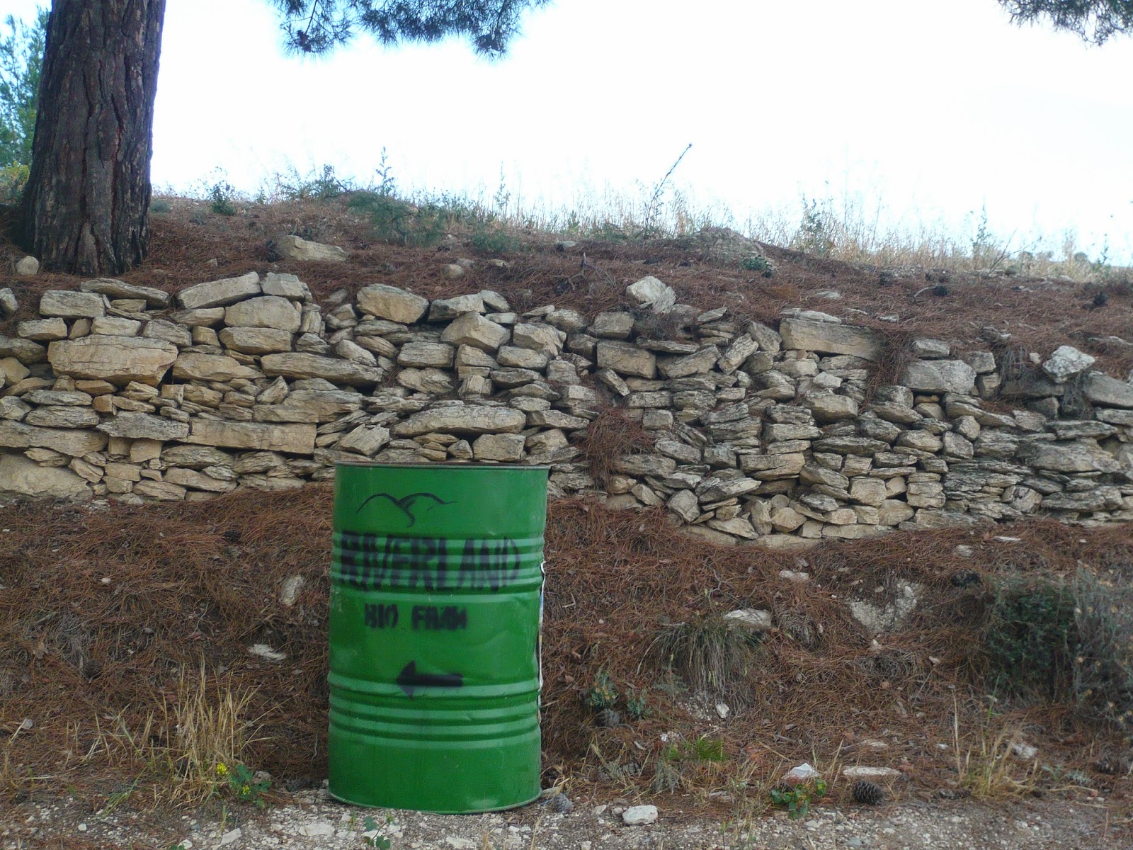 Produced in Cyprus: Riverland Diary Bio Farm – your first choice for ...