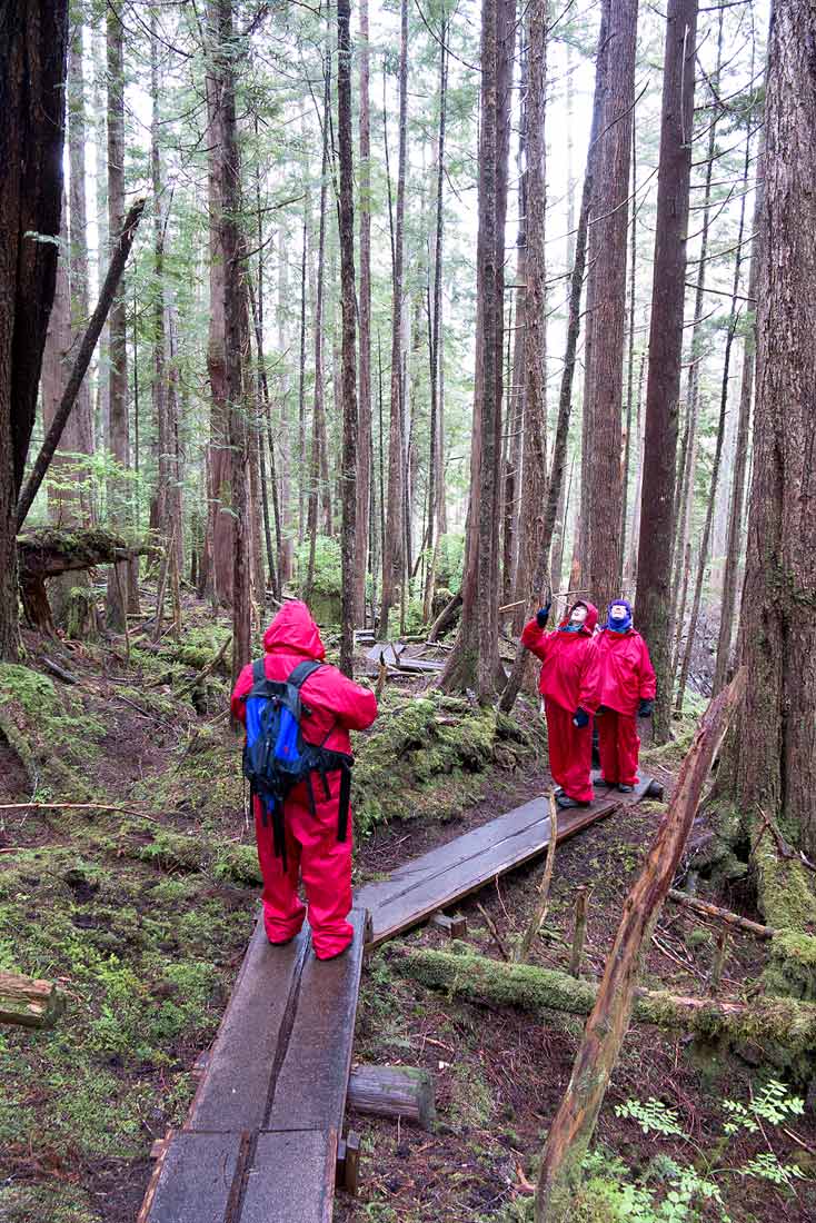 Bob's Photos: Alaska May 2012