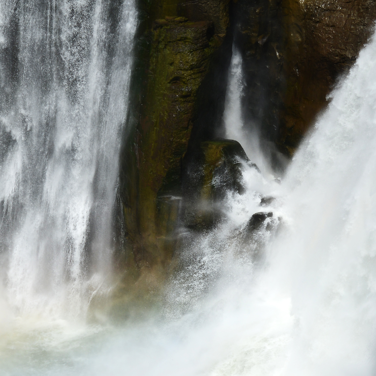 forms traced by light: waterfalls and strange false flowers (road trip ...